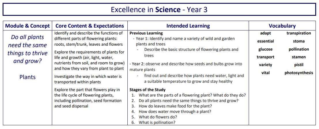 Sandringham Primary School - Exceed Learning Partnership Doncaster
